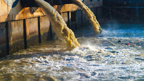 Map Shows Where Human Poop Is Entering The Ocea...