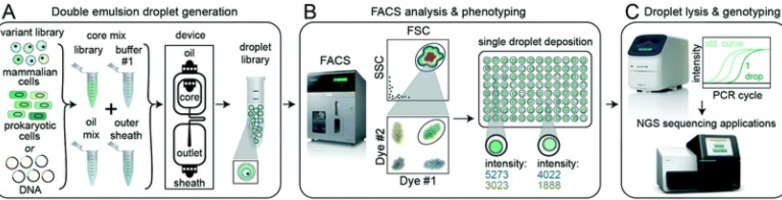 Double emulsion flow cytometry with high-throug...