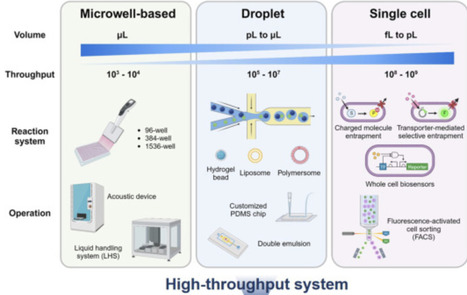 Synthetic Cells Revisited: Artificial Cells Con...