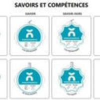 Les open badges en expérimentation au Cn...