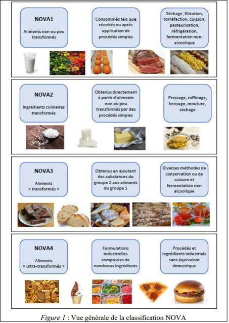 La classification des aliments, selon leur degr...