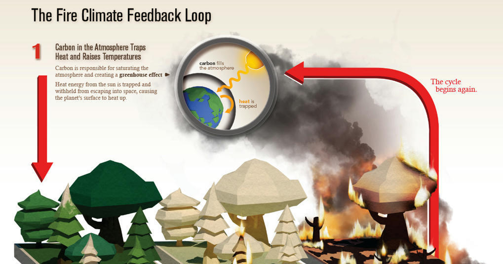Explained: The Relationship Between Climate Cha...
