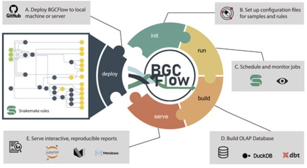 BGCFlow: systematic pangenome workflow for the ...