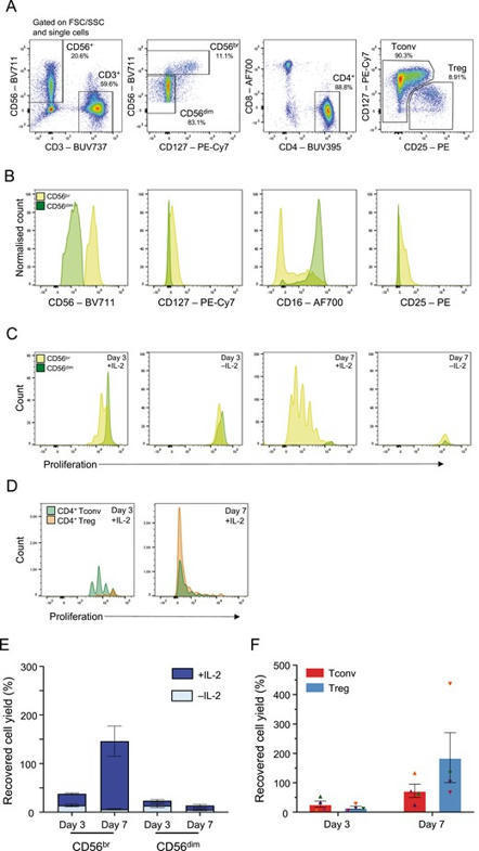 CD56bright natural killer cells preferentially ...