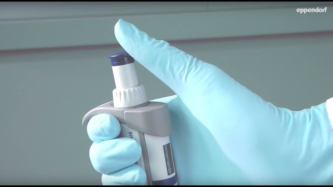 How to pipette correctly – a short step-b...