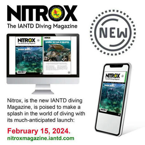 Four New Octopus Species Discovered in the Deep...