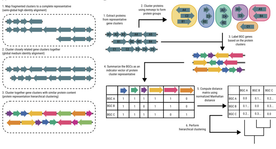 Fast, flexible gene cluster family delineation ...
