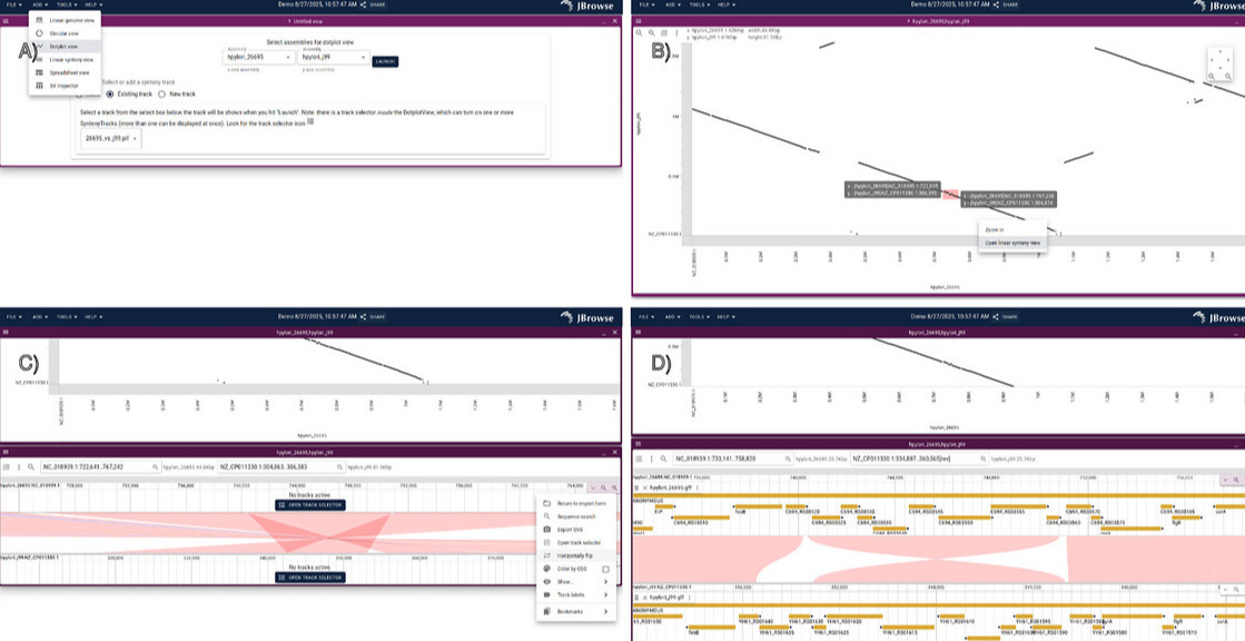 Setting up JBrowse 2 for Visualizing Genome Syn...