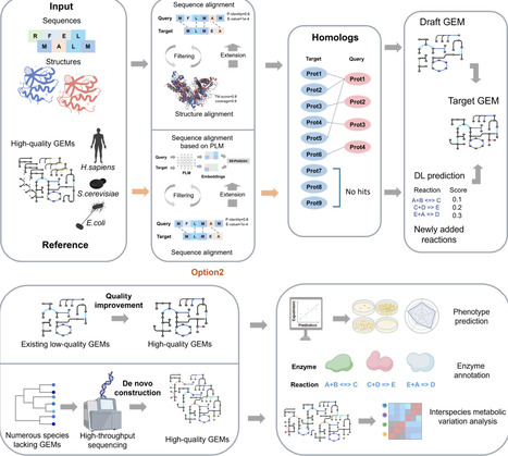 AlphaGEM Enables Precise Genome-Scale Metabolic...
