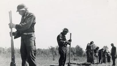 How Roosevelt’s Tree Army were poisoned