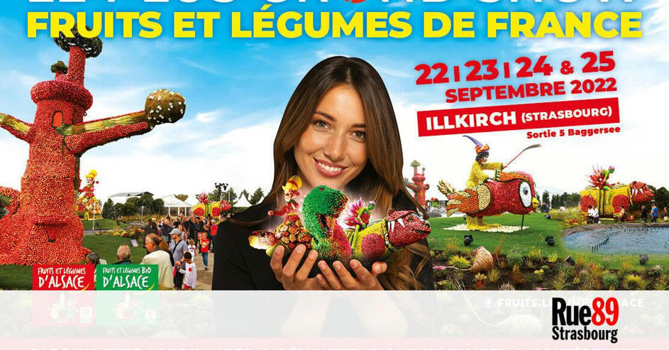 L'interprofession des fruits et légumes ...