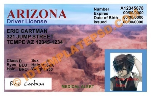 Free Drivers License Templates - digitalfiles