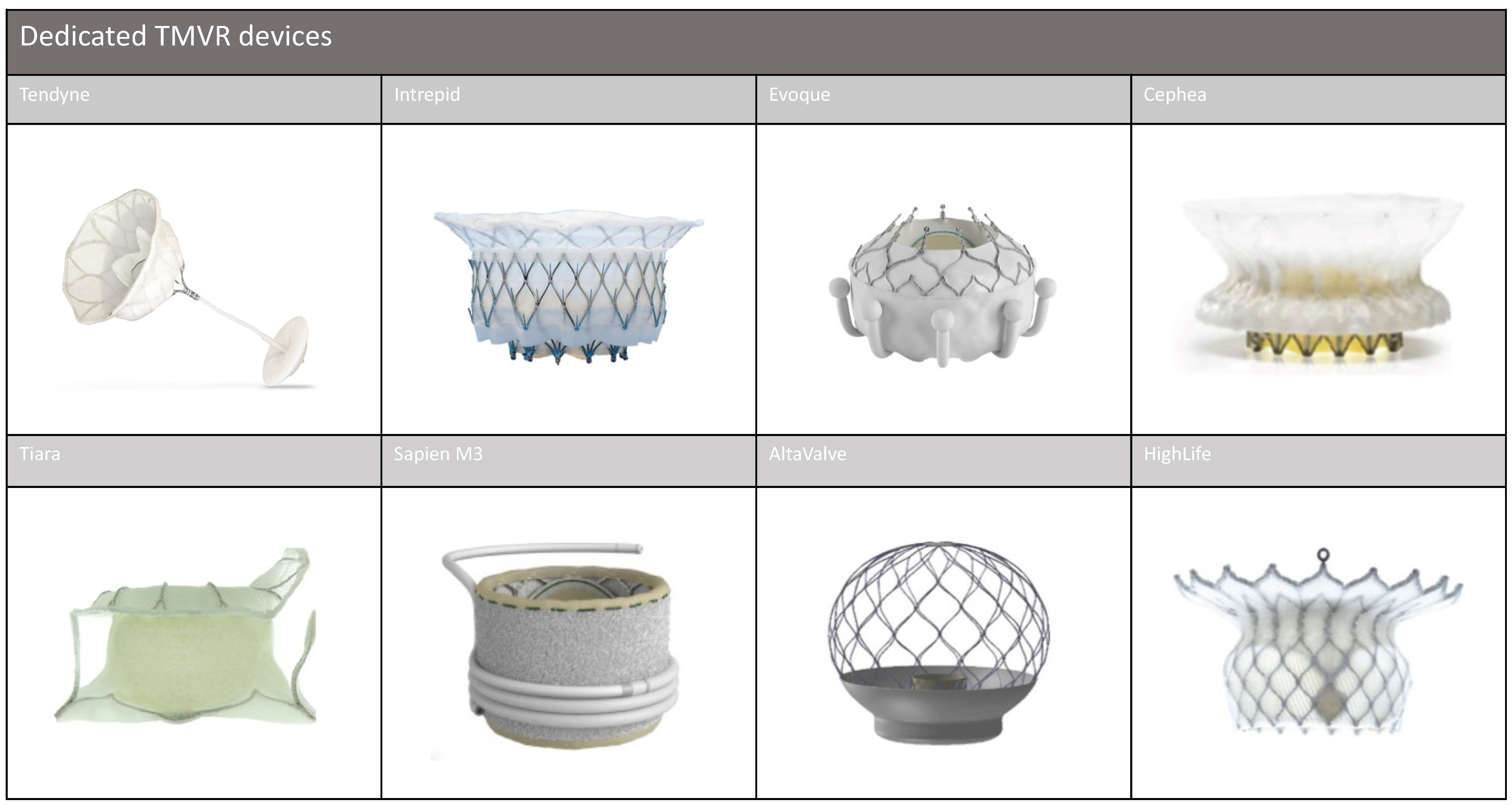 Transcatheter Mitral Valve Replacement Using Tr...