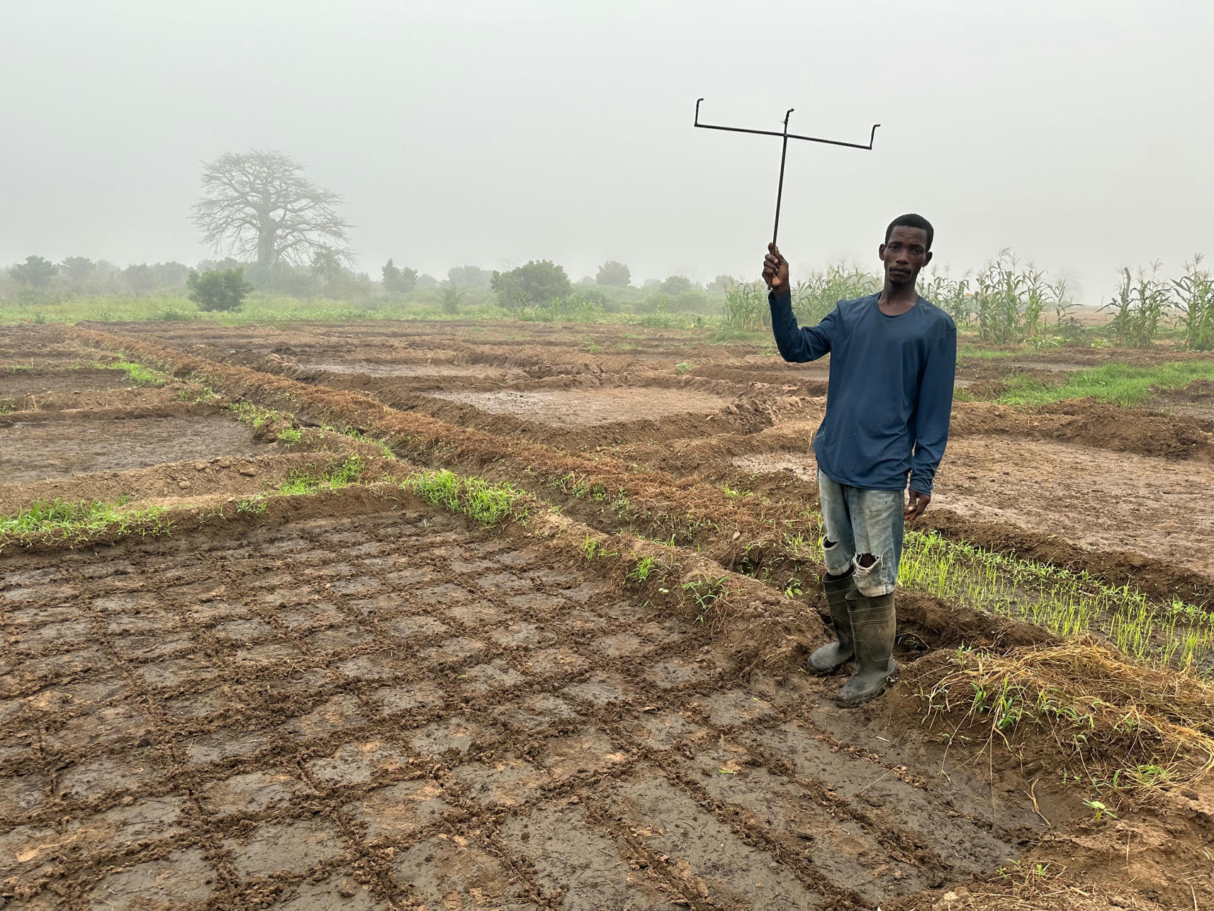 ANGOLA: SRI Methods are Tested in Angola for th...