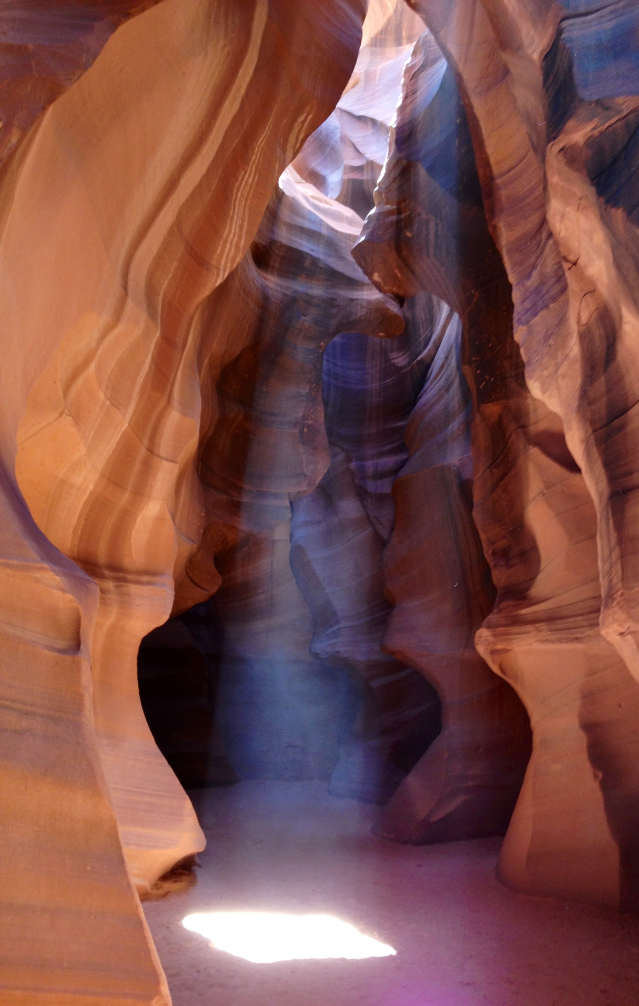 Antelope Colors | pixels and pictures | Scoop.it