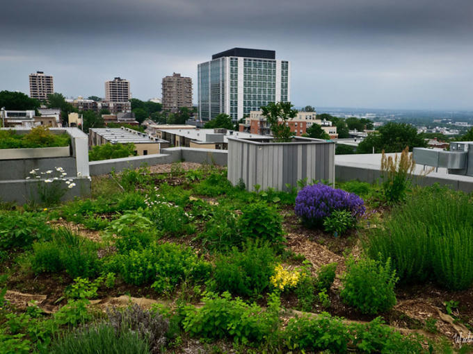 Une Nouvelle Formation En Ligne Pour Aider Les