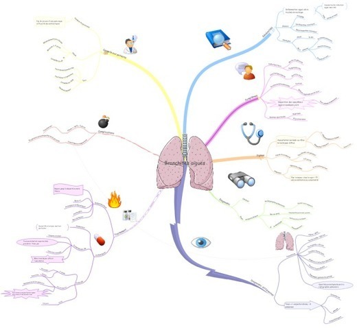 Bronchites aiguës mind map | Cartes mental...