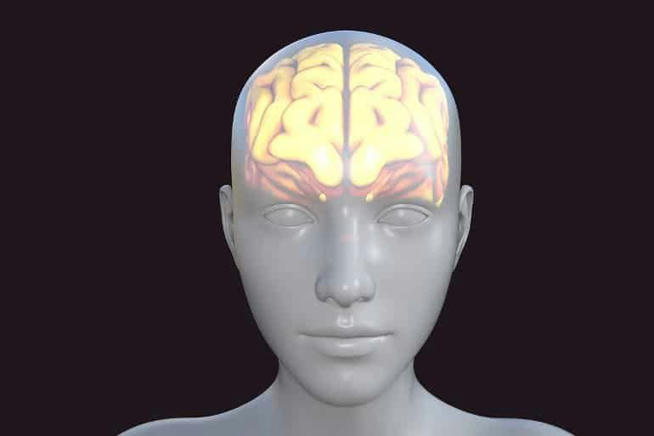 what-causes-the-brain-s-emotional-hub-to
