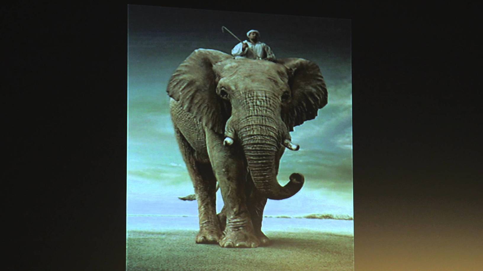 Empathy Neuroscience: Translational Relev...