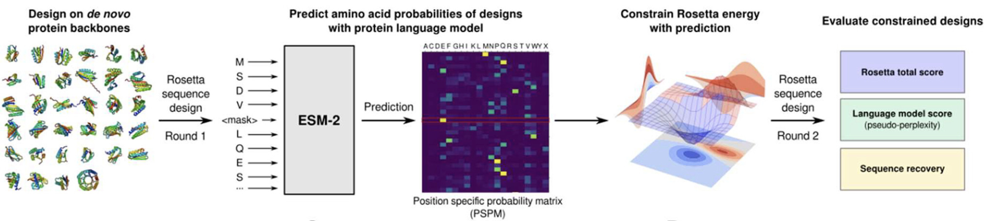 Combining Rosetta Sequence Design with Protein ...