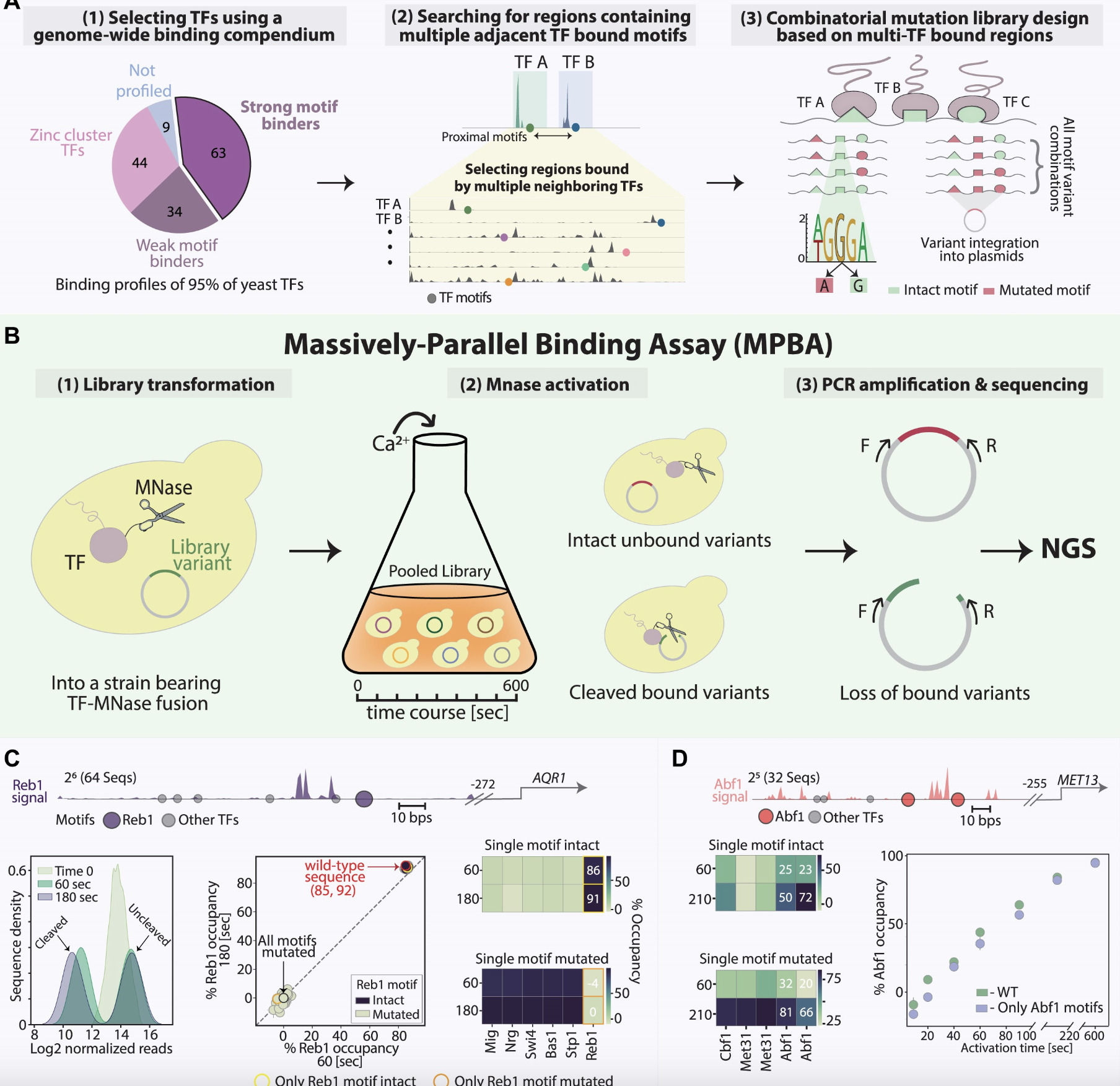Massively parallel binding assay (MPBA) reveals...