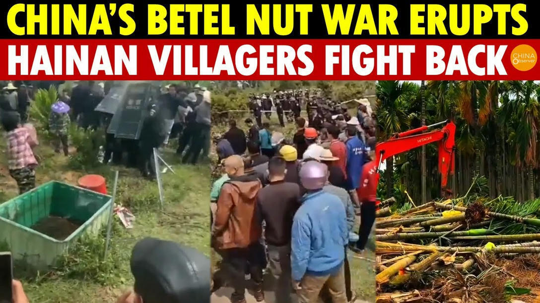 China’s Betel Nut War Erupts! CCP’s...