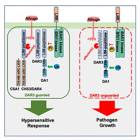 Cell Host & Microbe: The integrated LI...
