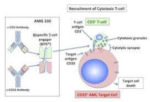 FDA approves Blincyto (Blinatumomab, Amgen) to ...