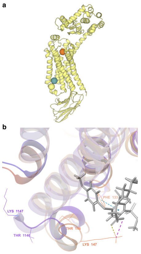 DiffDock-Glide: a hybrid physics-based and data...
