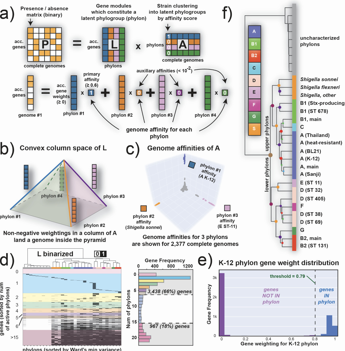 Decomposition of the pangenome matrix reveals a...