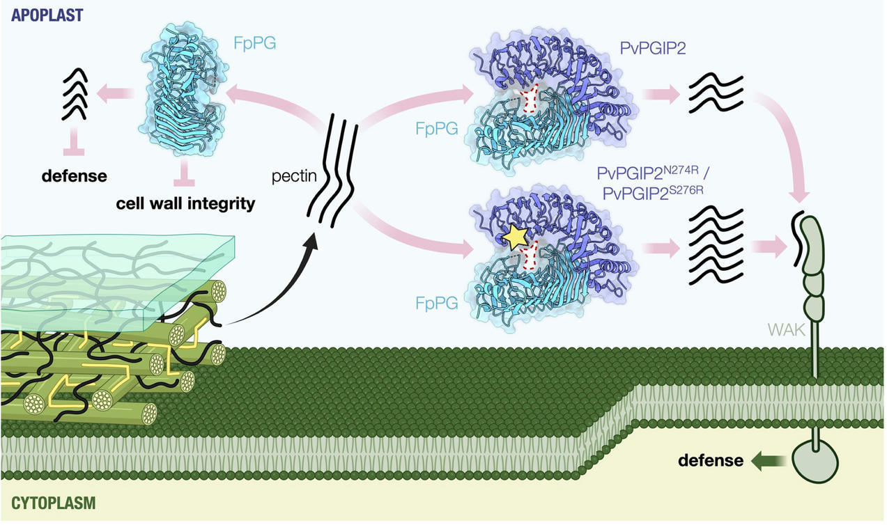 aBIOTECH: Zig, Zag, and ’Zyme: leveraging...