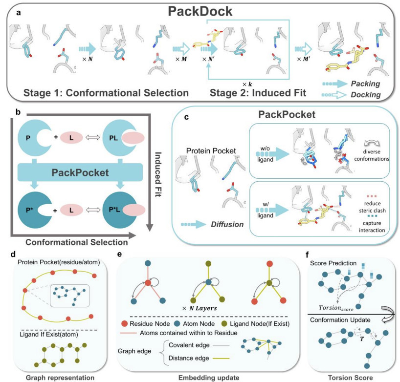 PackDock: a Diffusion Based Side Chain Packing ...