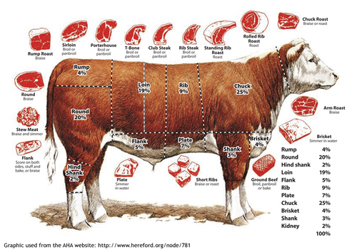 (FR)-(DE)-(EN)-(ES)-(IT) – Beef glossary in 5 languages | preden.com ...