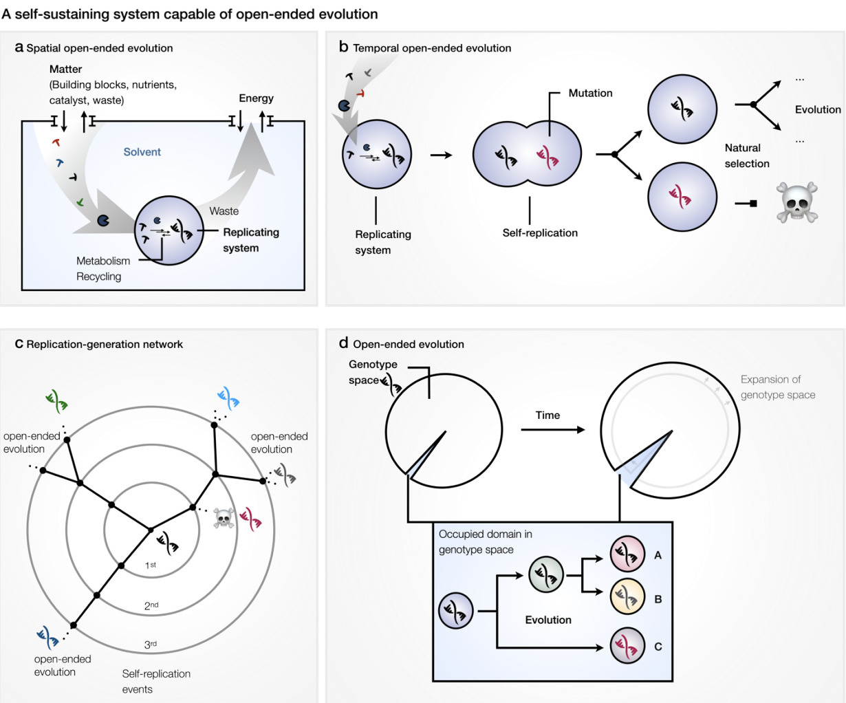 A roadmap towards the synthesis of Life | Biolo...