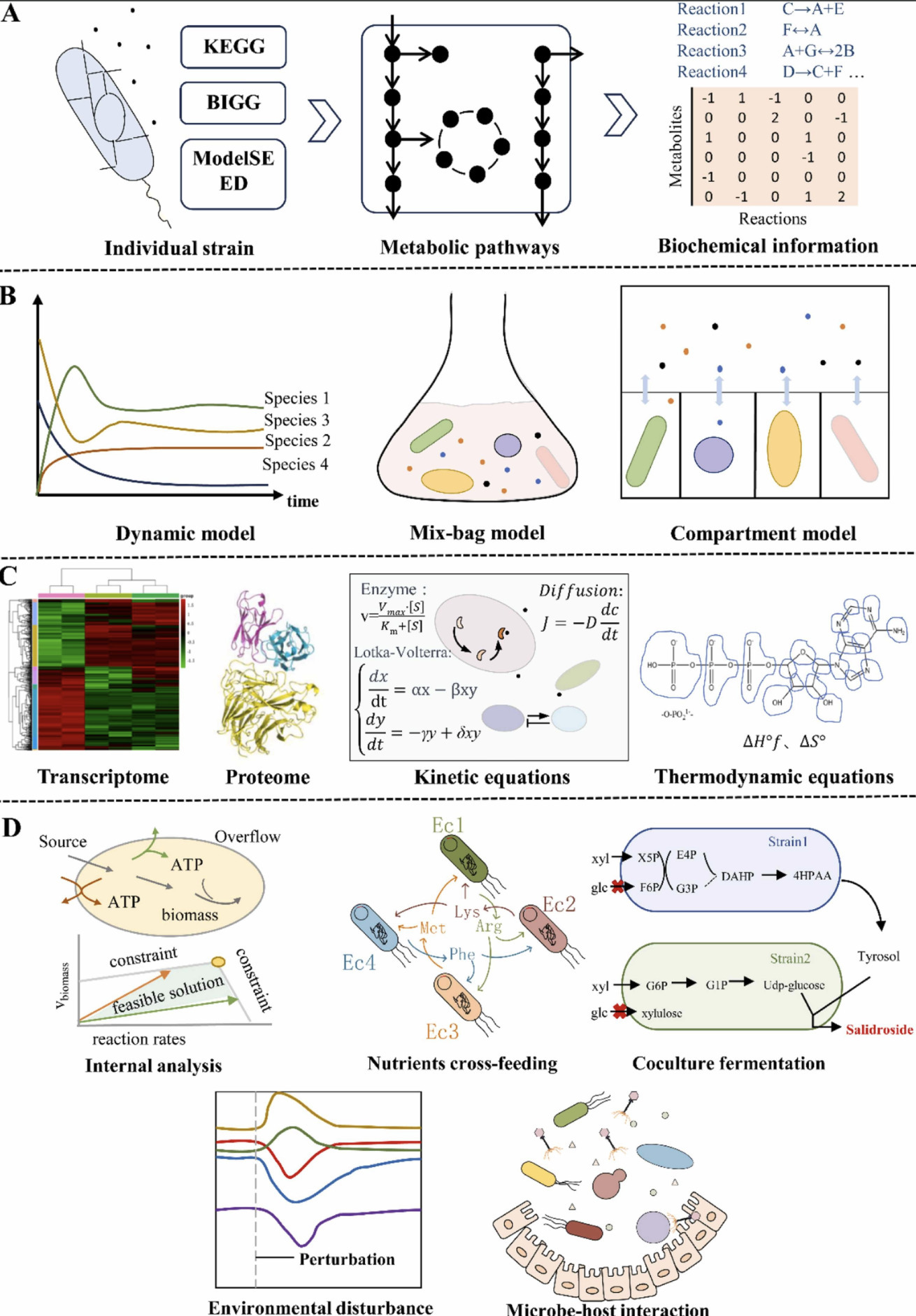 Deciphering And Designing Microbial Communities
