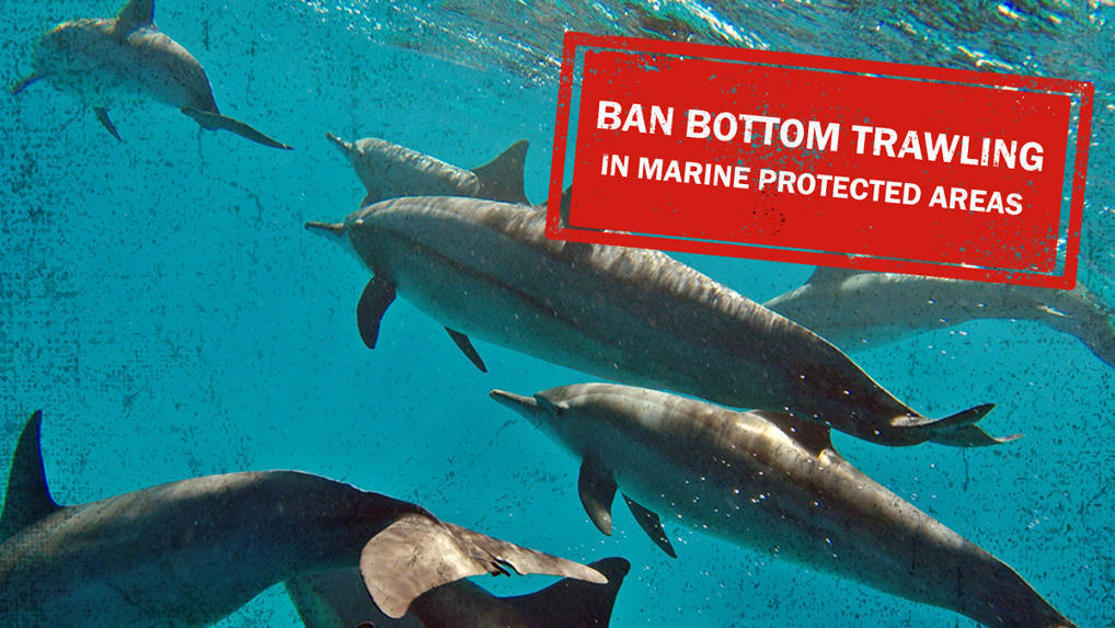Seas at Risk - Benefits quickly outweigh costs ...