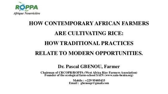 BENIN and CHINA: Rice cultivation in Africa: Ho...