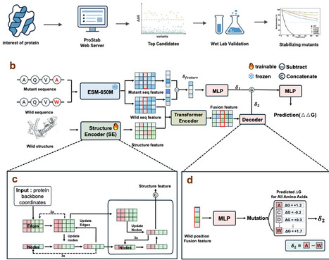 ProStab: Prediction of protein stability change...