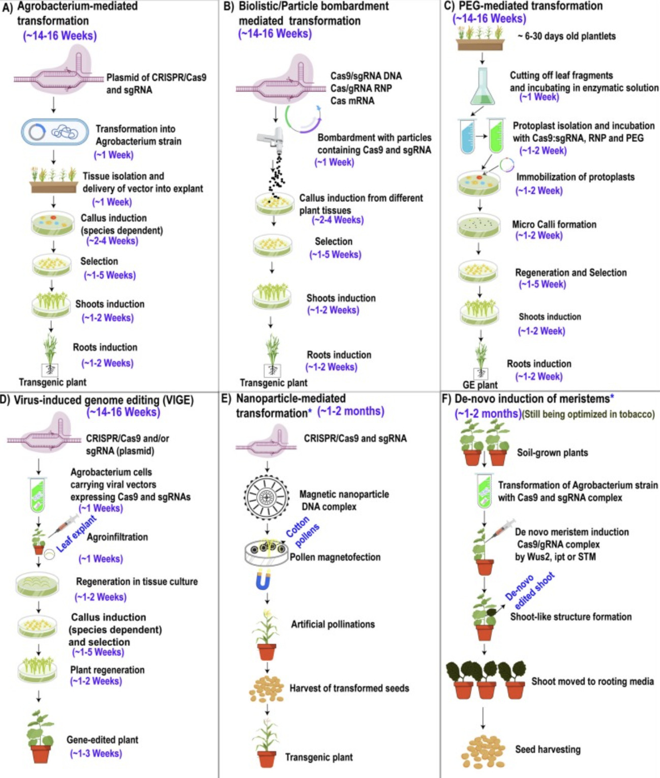 CRISPR/Cas9-mediated genome editing techniques ...