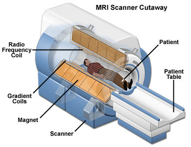(EN) – MRI Glossary | fonar.com – 📚 Glossarissimo!