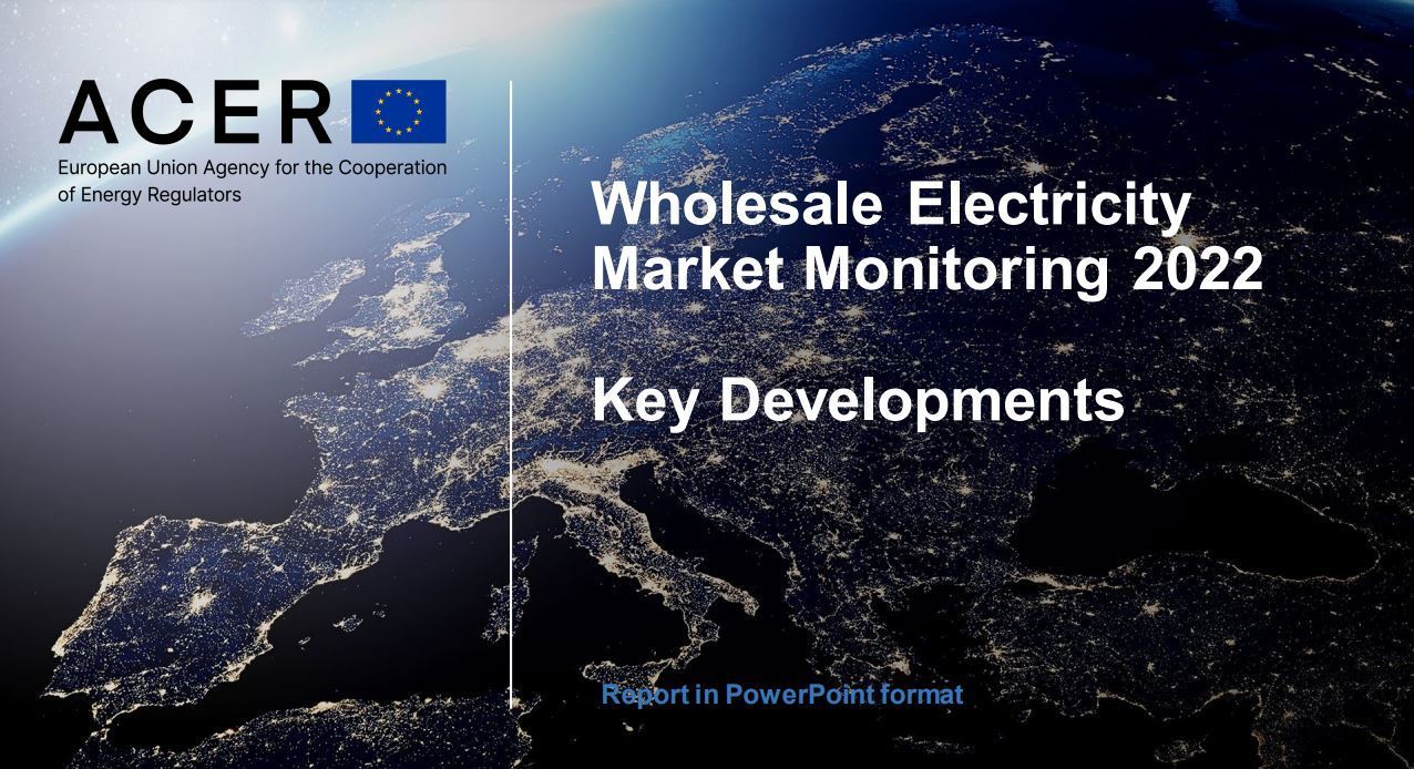 Wholesale Electricity Market Monitoring 2022