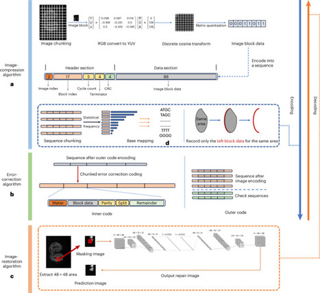 DNA data storage for biomedical images using HE...