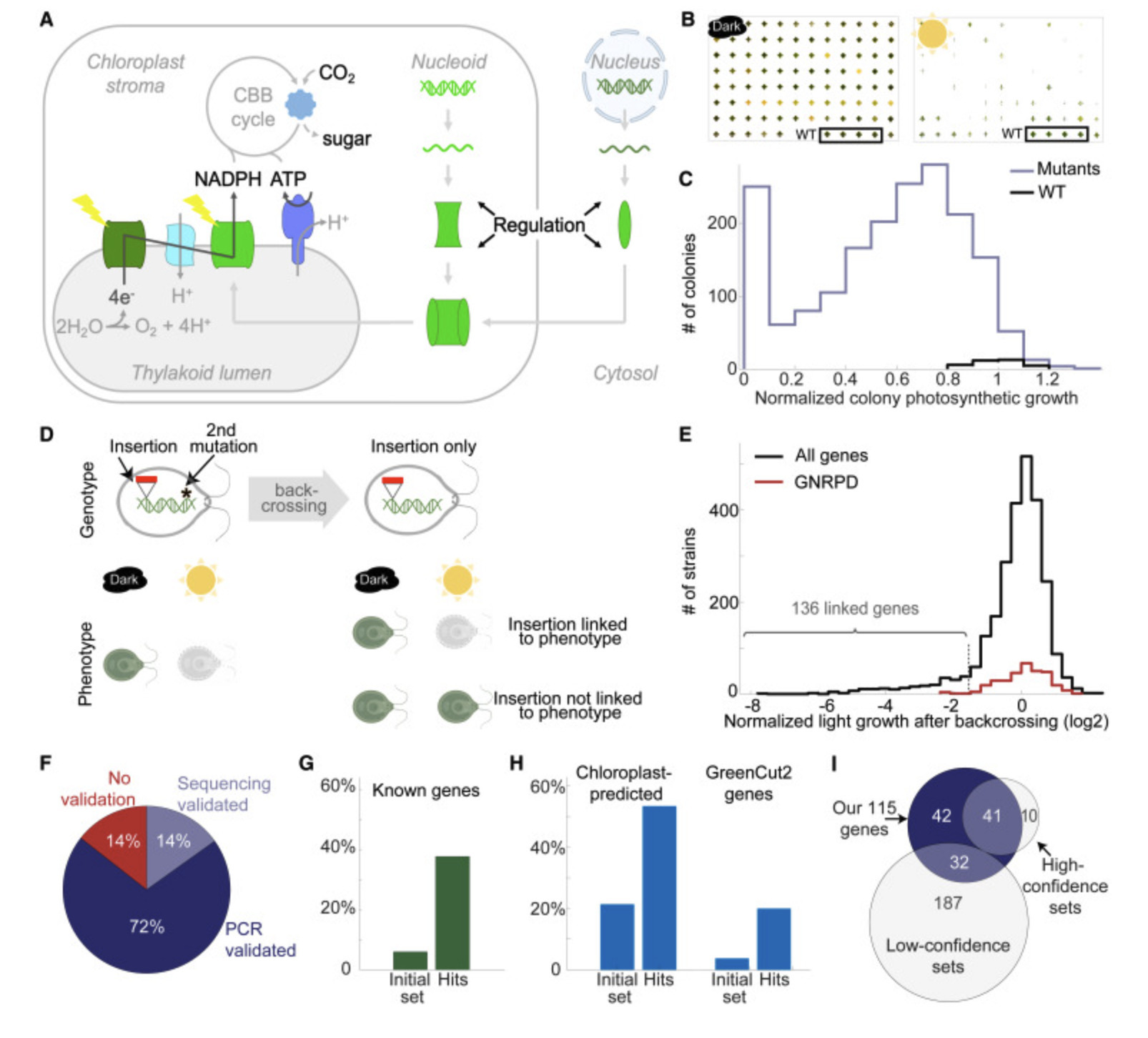 Systematic identification and characterization ...