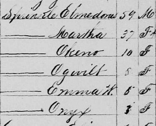 Odd Names in the Sprinkle Family - Nancy's Baby...