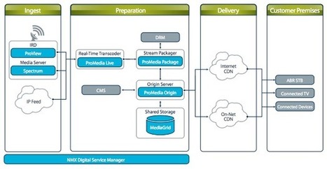 Video ecosystem | Scoop.it