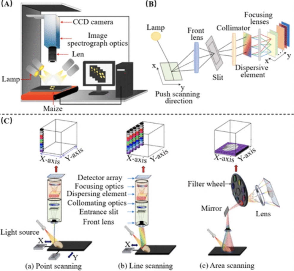 Hyperspectral Imaging and Deep Learning for Qua...