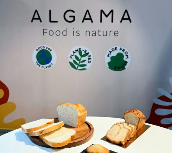 Algama passe à l’échelle in...