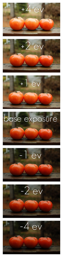Photography Basics: Understanding Exposure | Le...