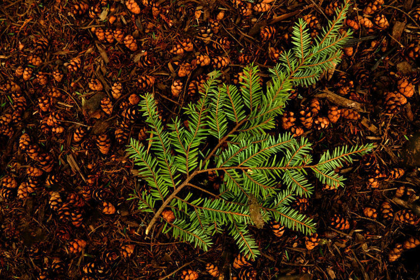 Update on the Fujifilm X100V | Bill Fortney | F...