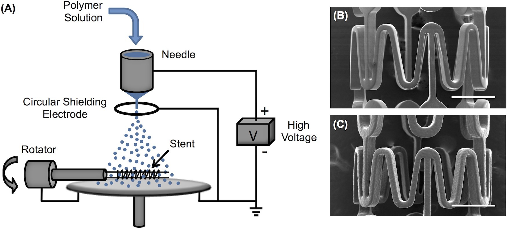 Fabrication of Polymeric Coatings with Controll...